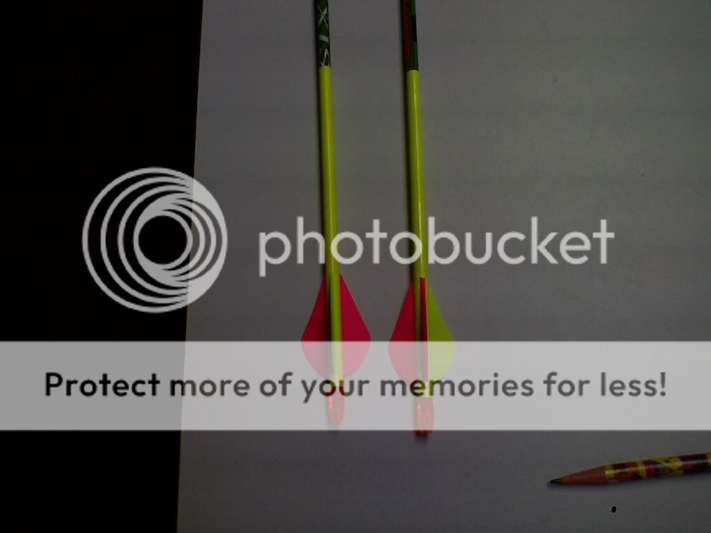 What's Your Favorite Fletching Color Combo? | Page 2 | Archery Talk Forum